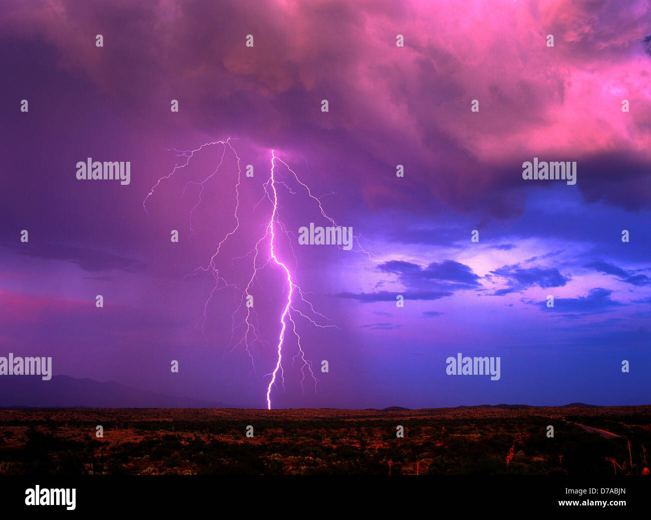 USA Arizona Lightning striking Stock Photo - Alamy