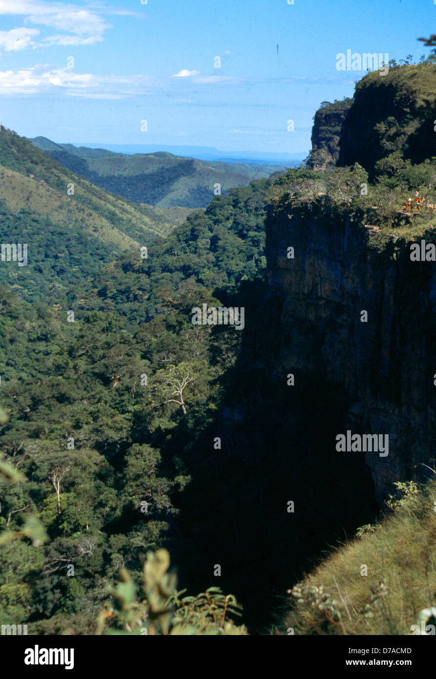 Paraa hi-res stock photography and images - Alamy