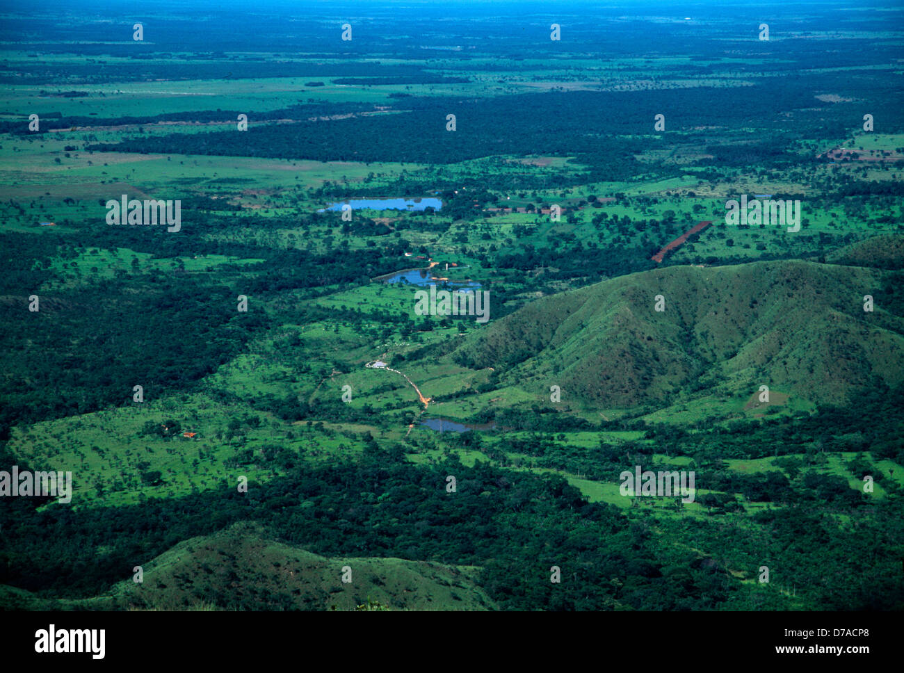 Paraa hi-res stock photography and images - Alamy