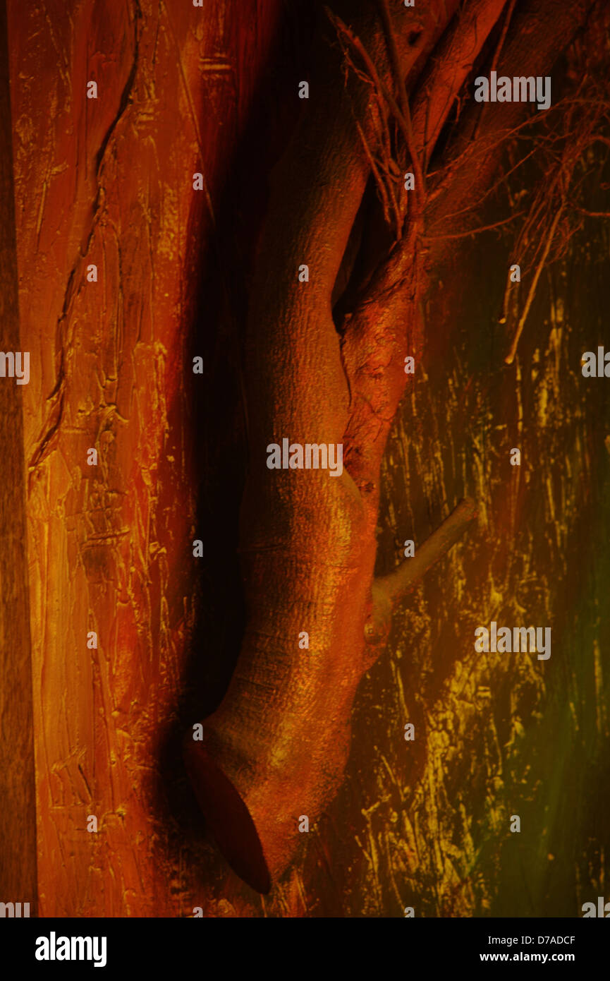 picture made from wood branch Stock Photo - Alamy