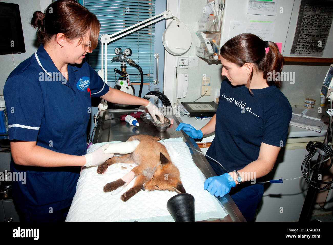 Nurse leg dressing hi-res stock photography and images - Alamy