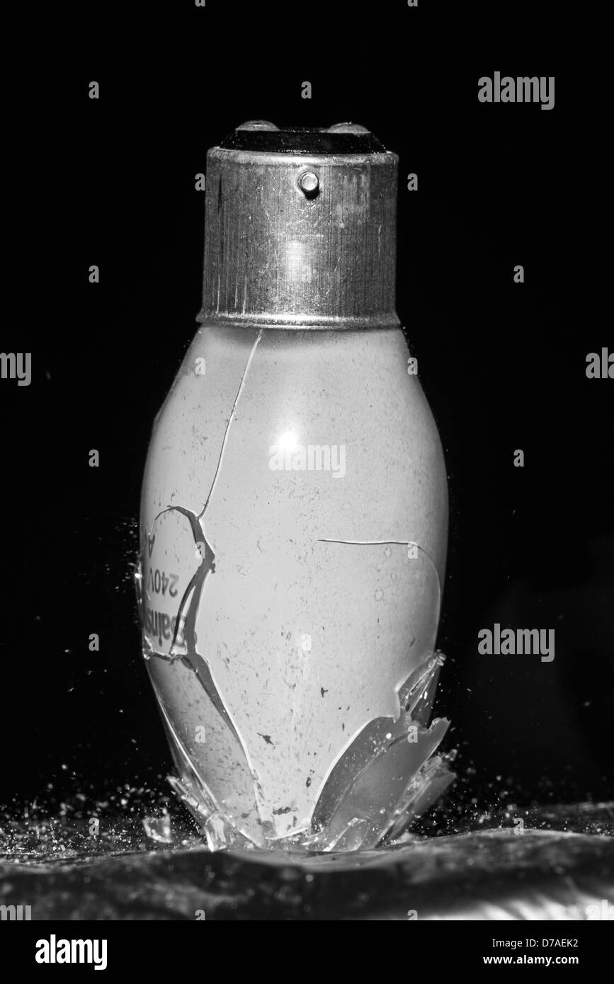 Ground bulb Black and White Stock Photos & Images - Alamy