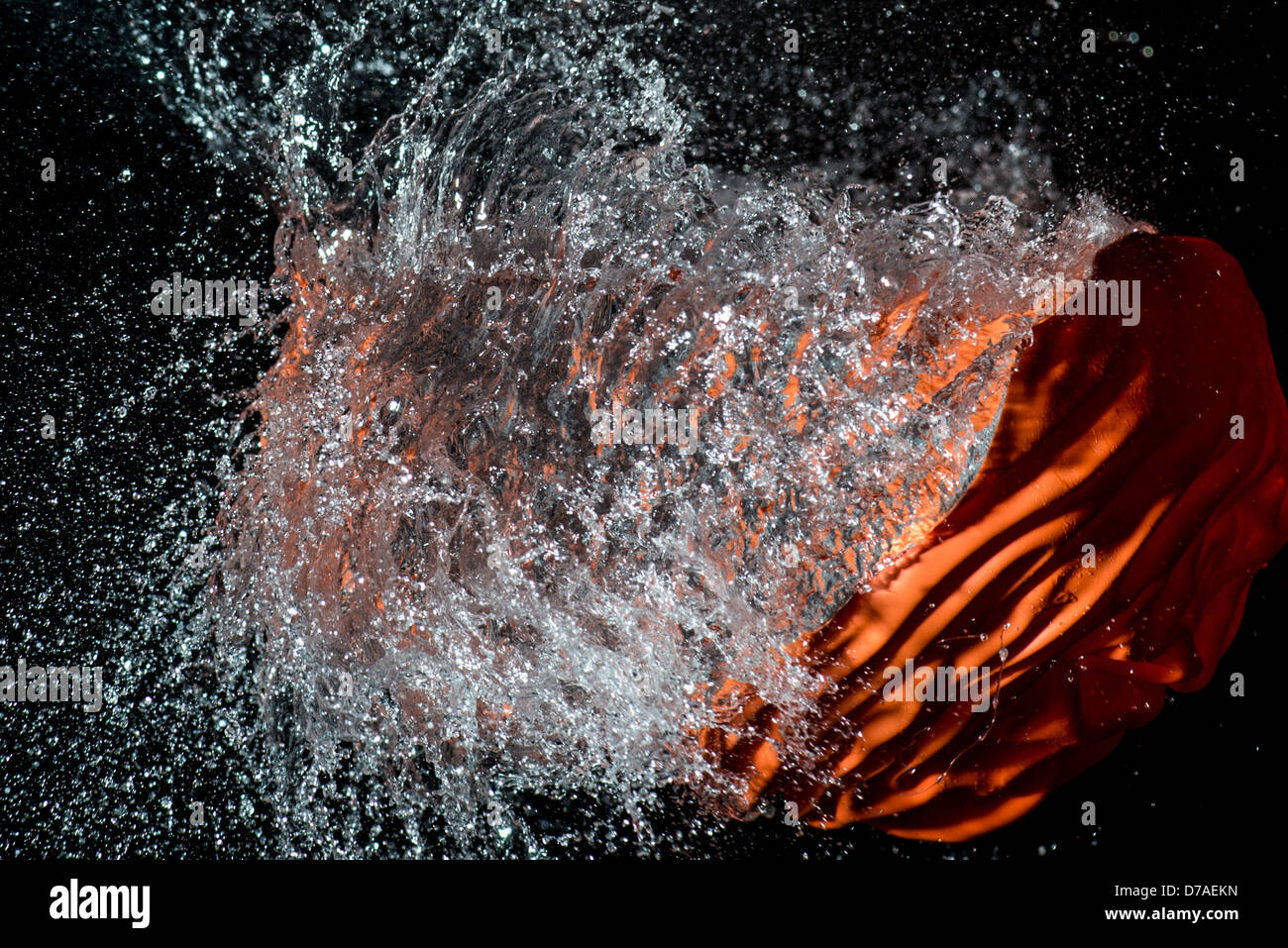 water filled balloon exploding Stock Photo - Alamy
