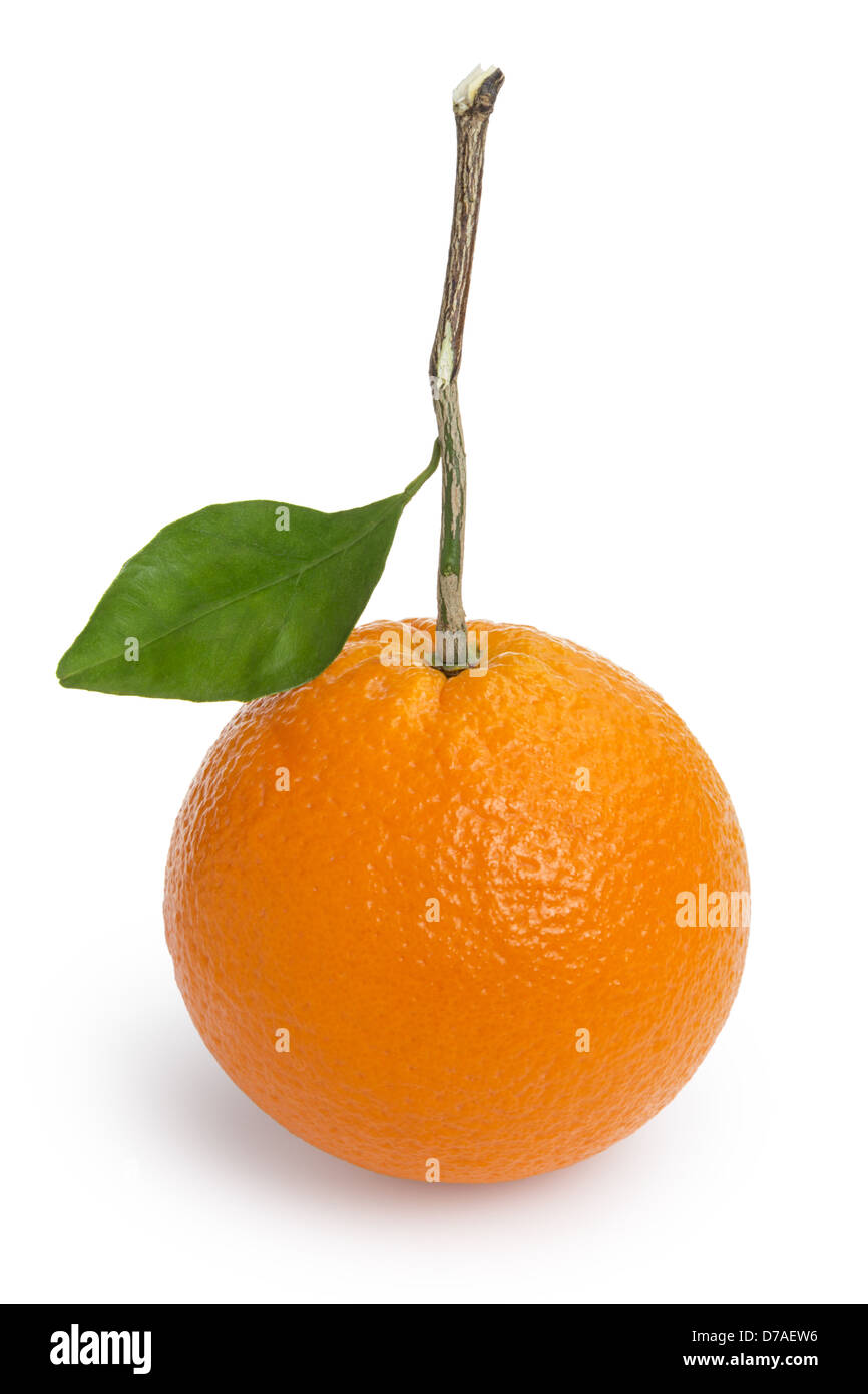 ripe round orange with stem and leaf, isolated on white background ...
