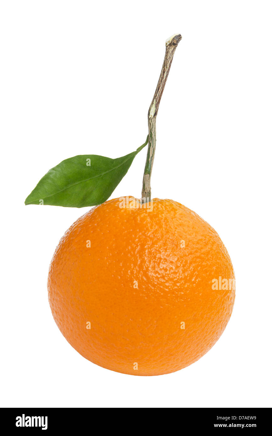 ripe round orange with stem and leaf, isolated on white background ...
