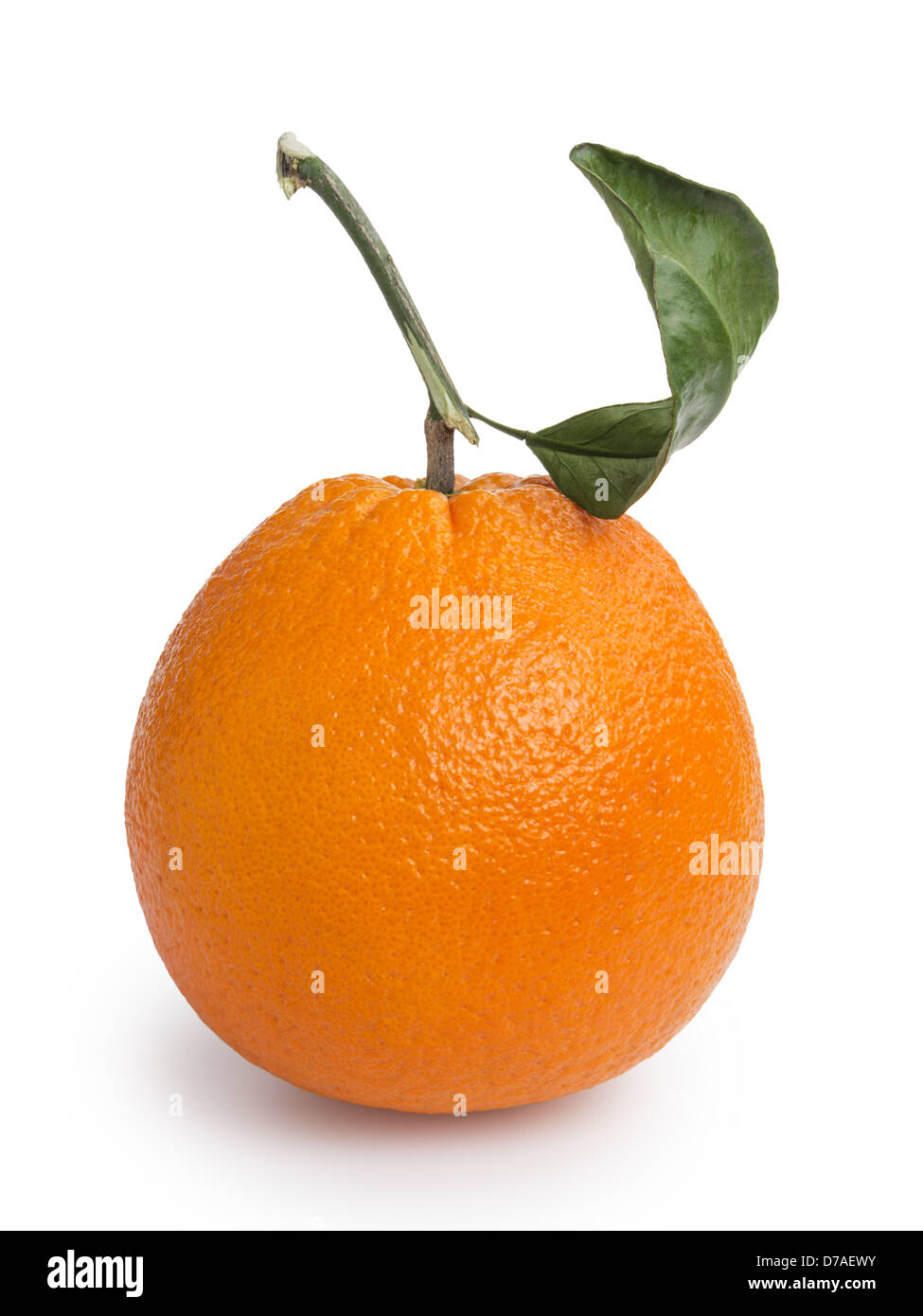ripe round orange with stem and leaf, isolated on white background ...