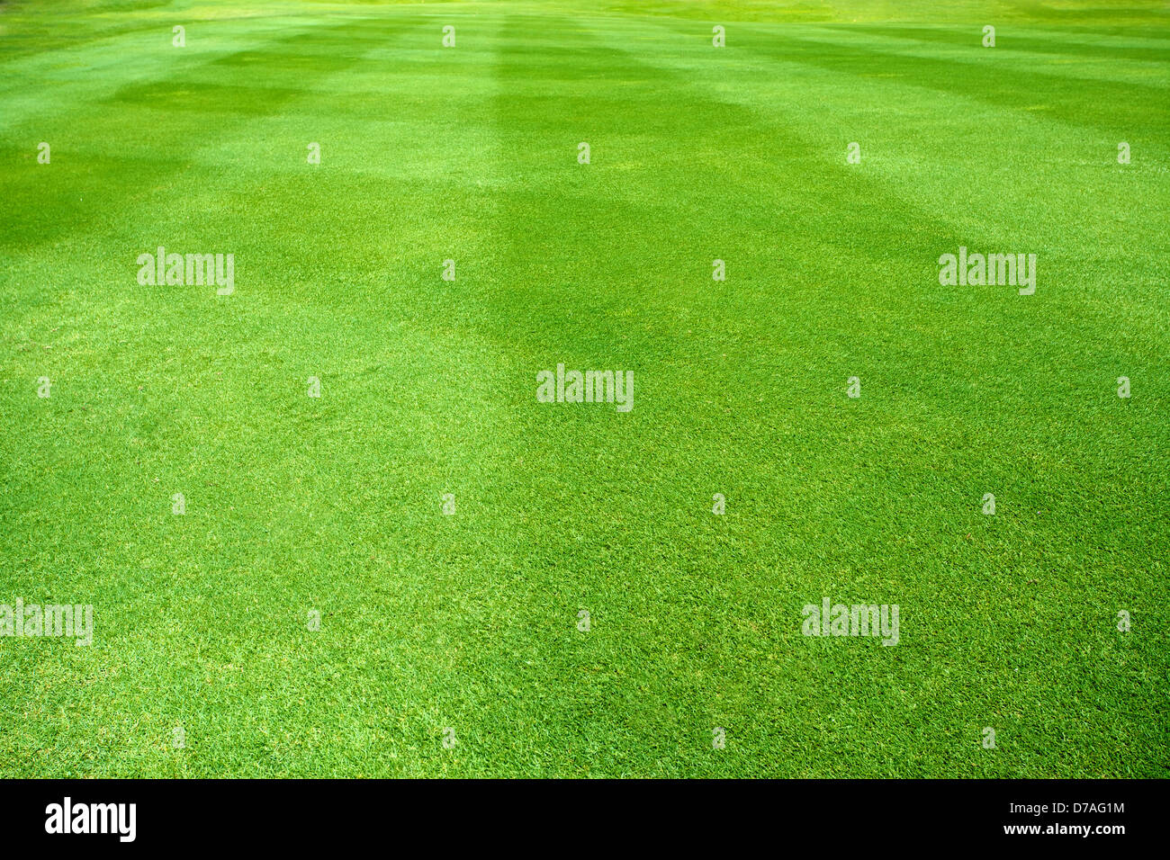 Course field grass hi-res stock photography and images - Alamy