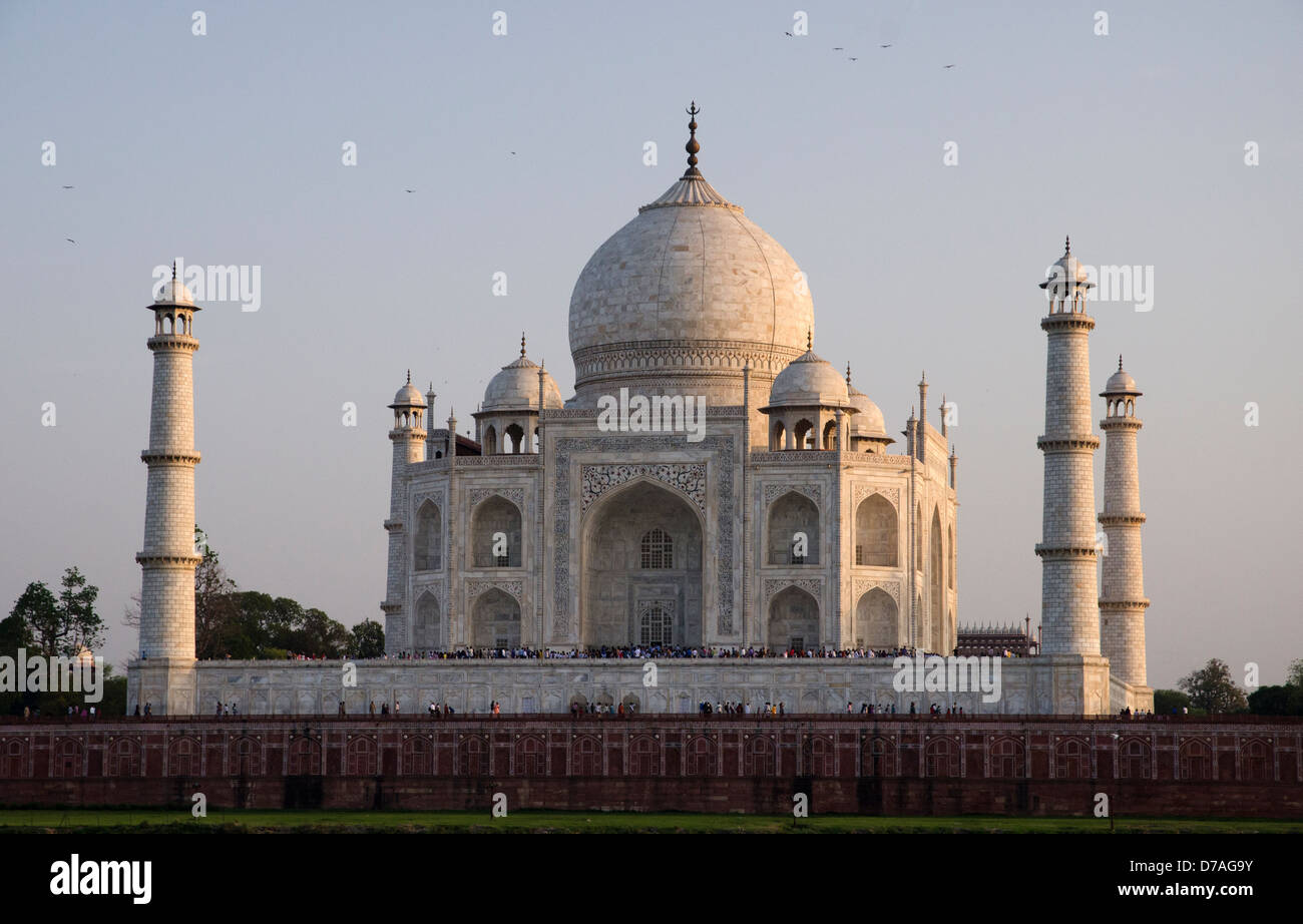 taj mahal,royal palace,mughal,white,marble,mausoleum,evening,ancient ...