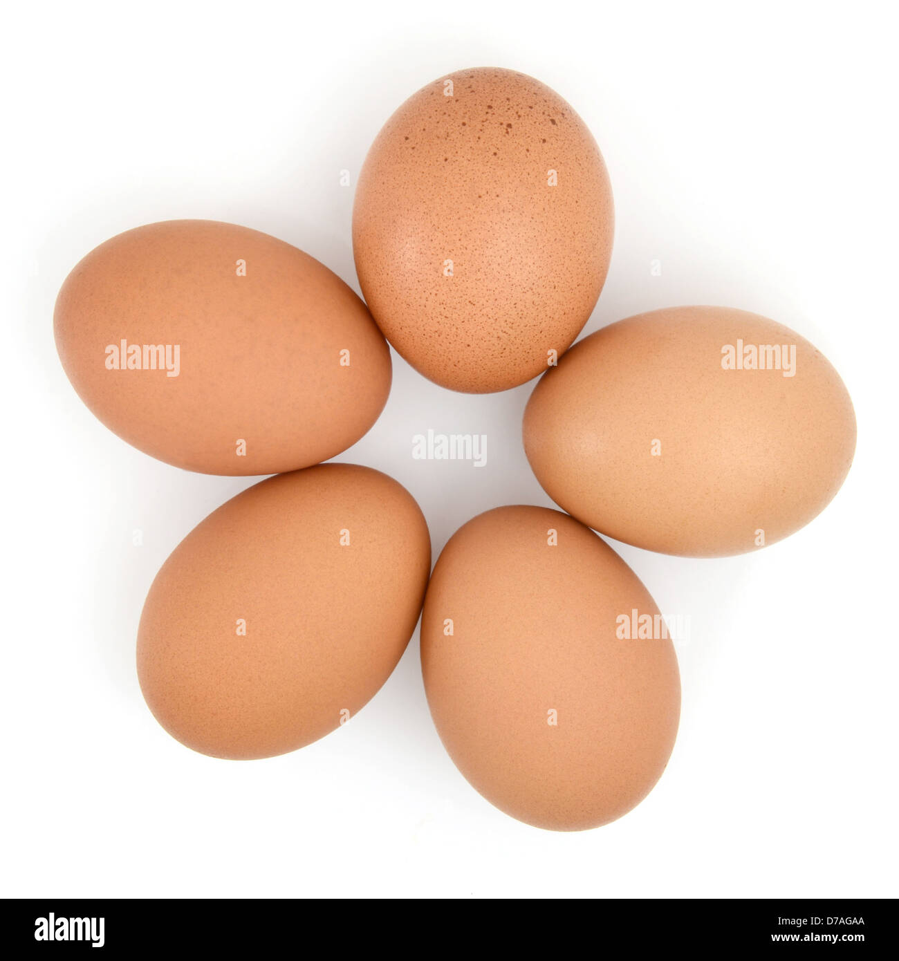 Five Eggs Isolated Stock Photo - Alamy