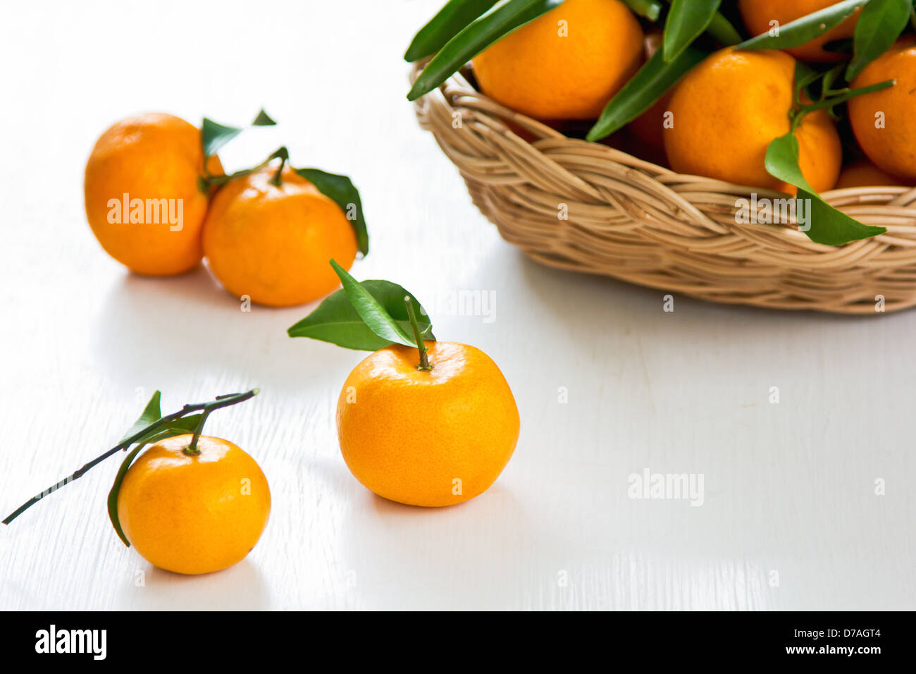 Small green oranges hi-res stock photography and images - Alamy