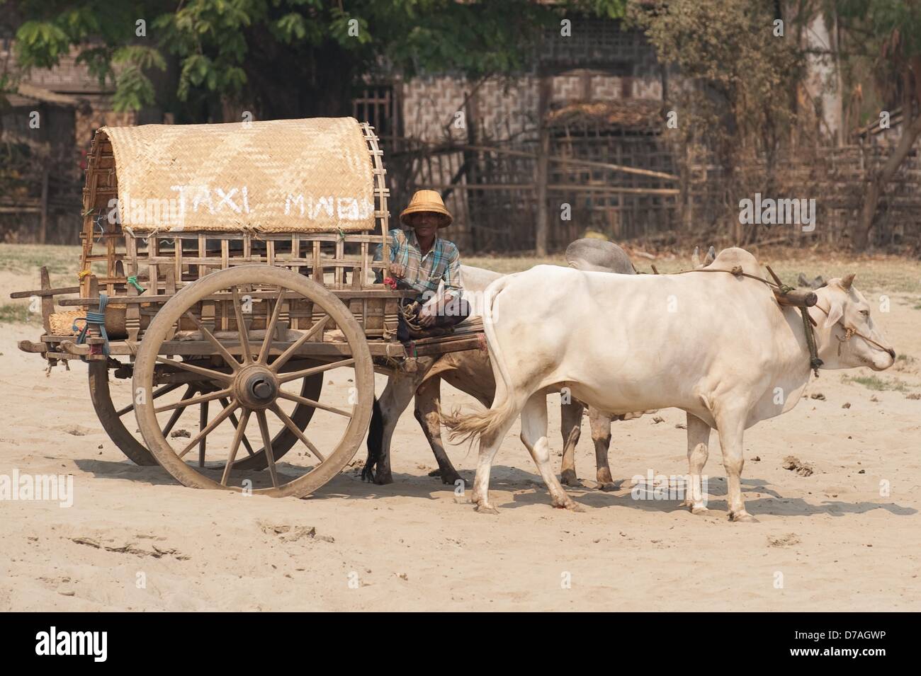 Ox drawn carriage hi-res stock photography and images - Alamy