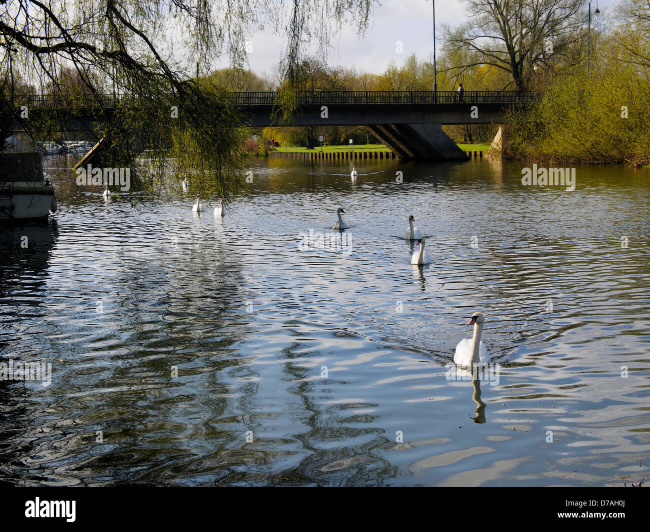 River great ouse st neots hi-res stock photography and images - Alamy