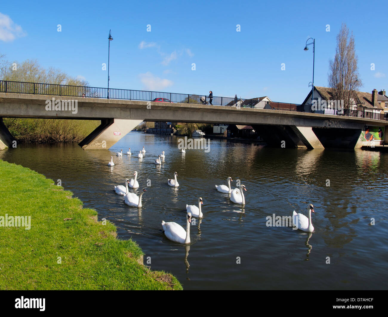 St neots, cambridgeshire, river hi-res stock photography and images - Alamy