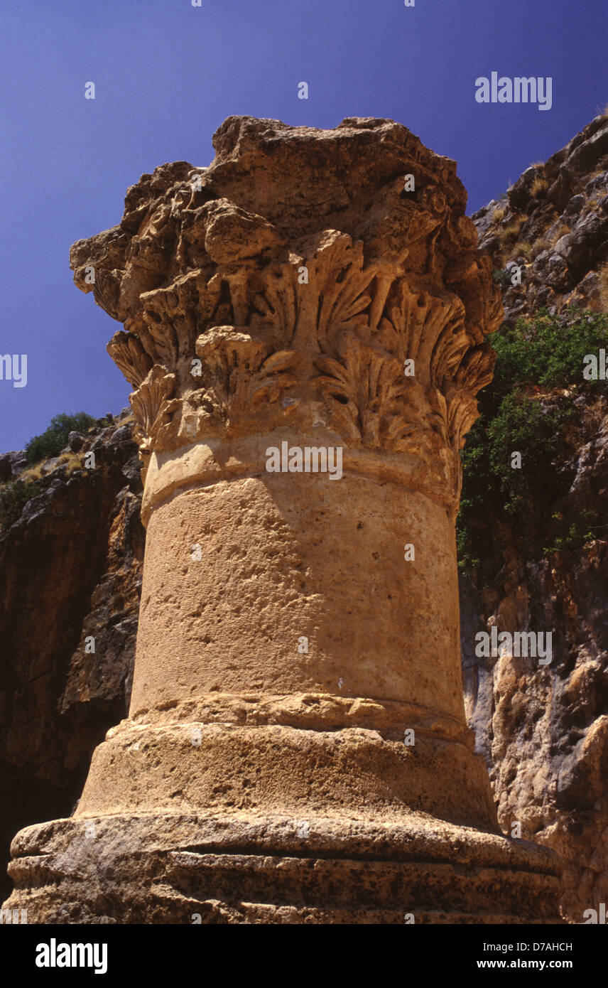 Corintic roman capital at the Banias Nature reserve Upper Galilee ...