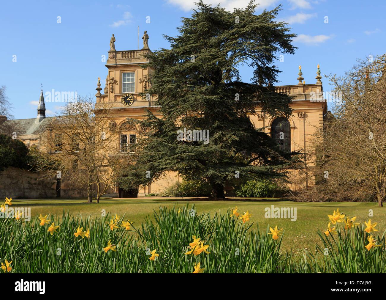 Trinity College chapel and front quadrangle garden with Cedar tree and ...