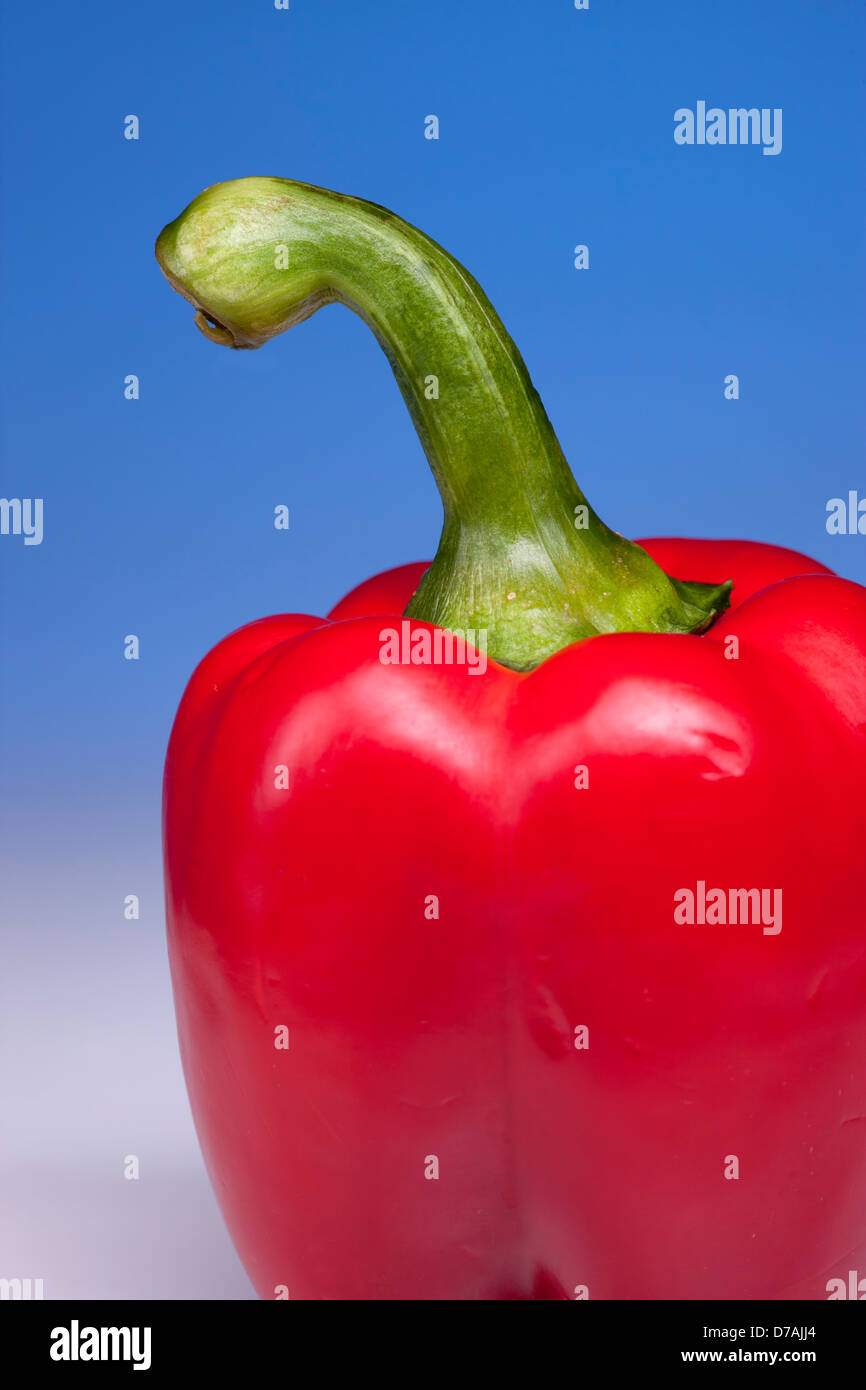 Close up bell pepper hi-res stock photography and images - Alamy