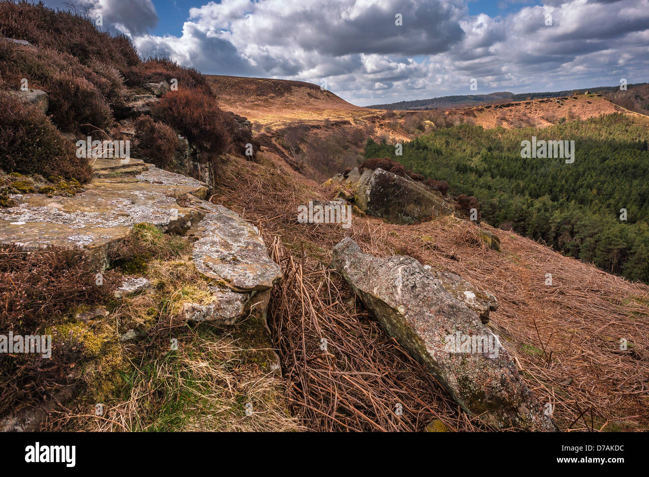 View of the rugged landscape of the North York Moors National Park on a ...