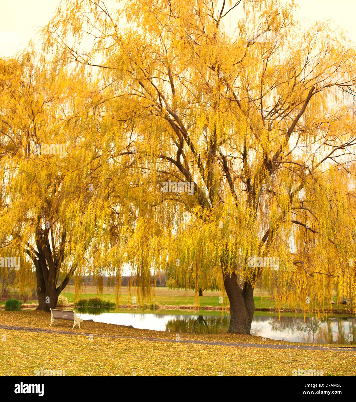 Mackenzie childs hi-res stock photography and images - Alamy