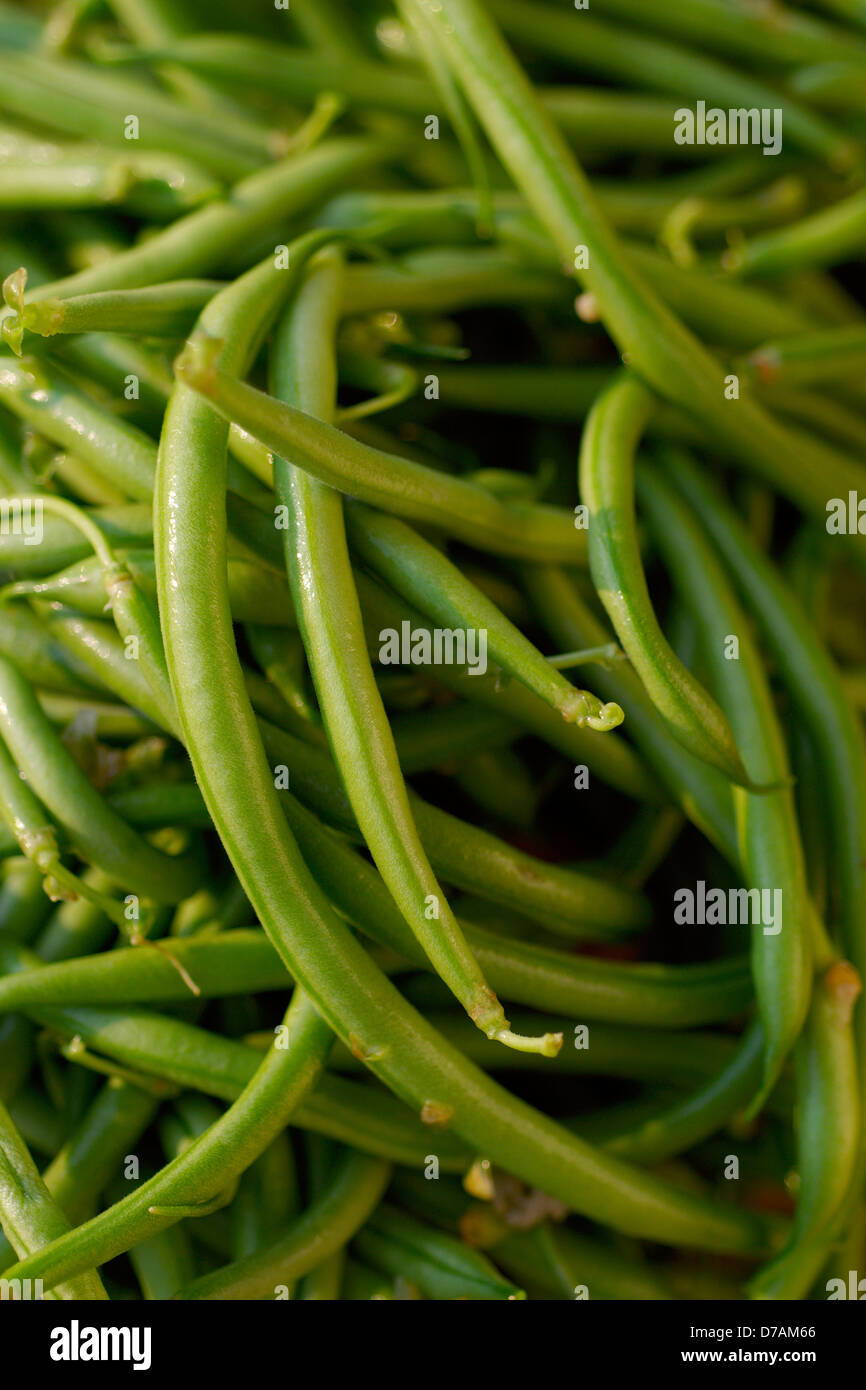 garden fresh green beans Stock Photo - Alamy