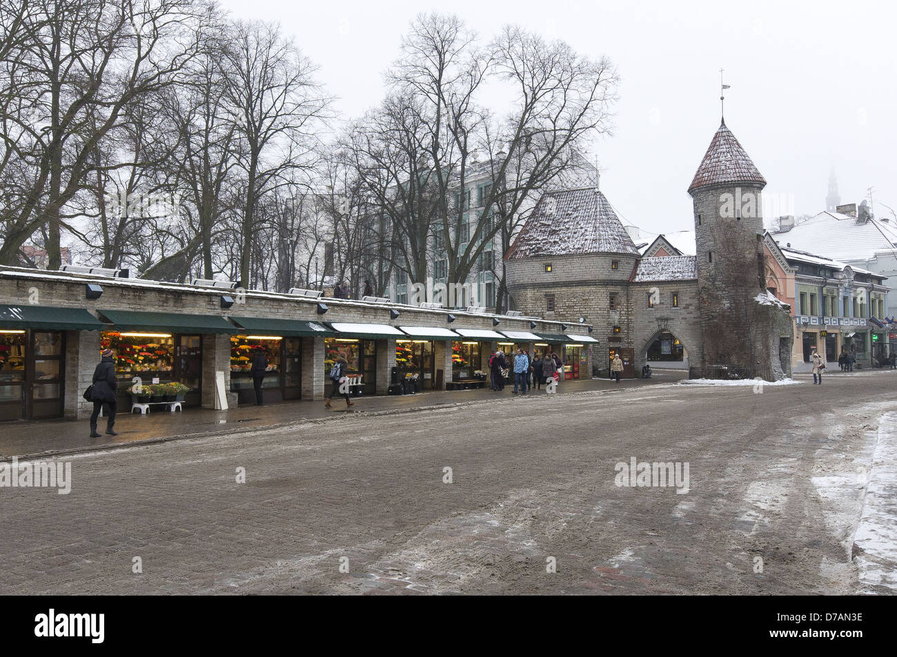 The Viru Gate which is one of two remaining towers that mark the ...