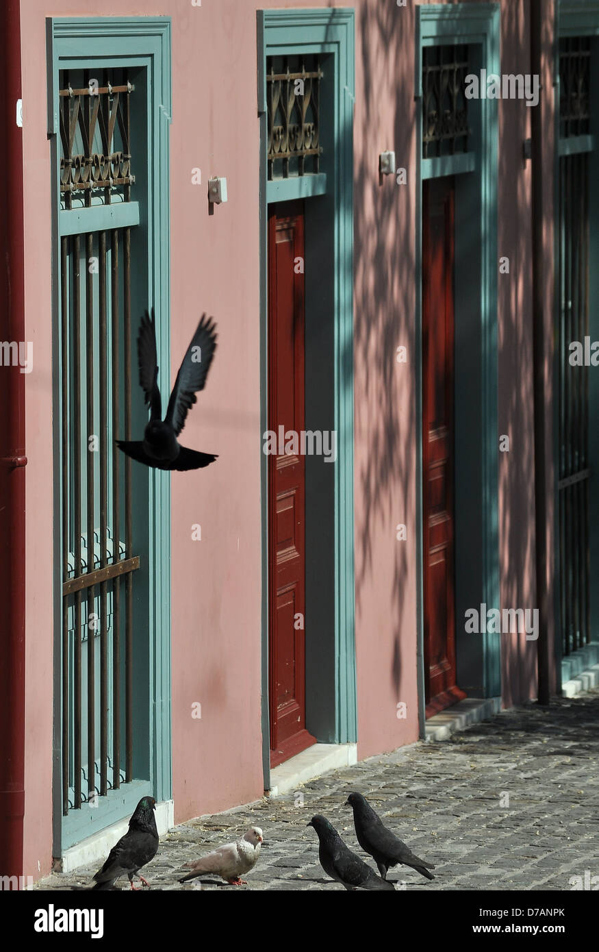 Flying pigeon hi-res stock photography and images - Alamy