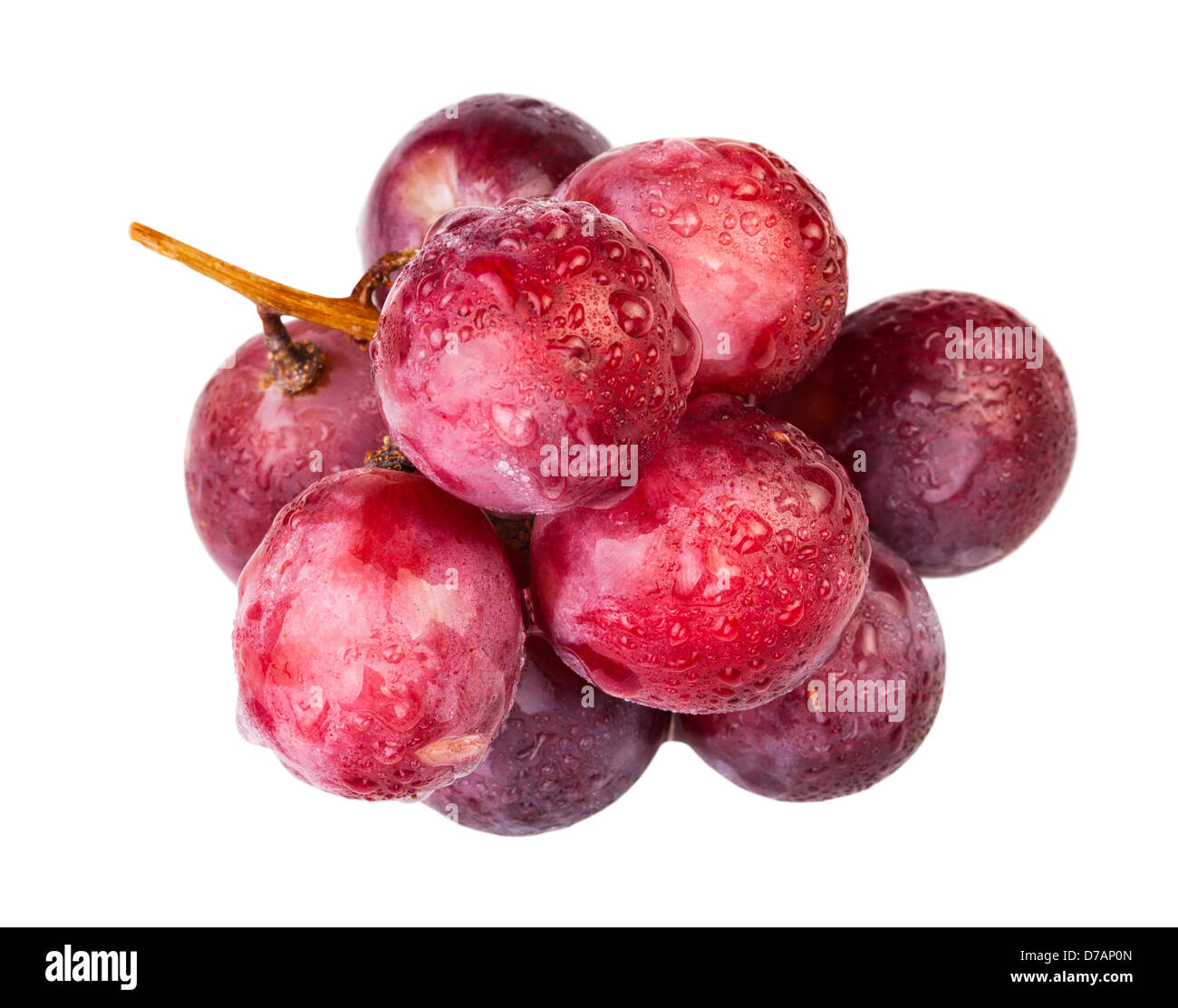 Red grape on branch hi-res stock photography and images - Alamy