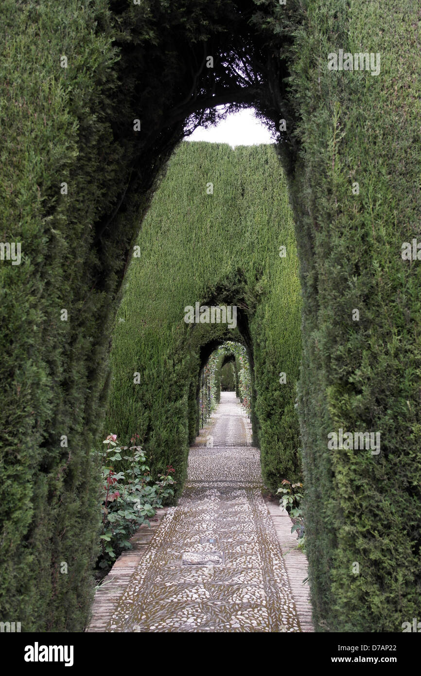 Topiary arches in the Generalife gardens, Alhambra, Andalucia Stock ...