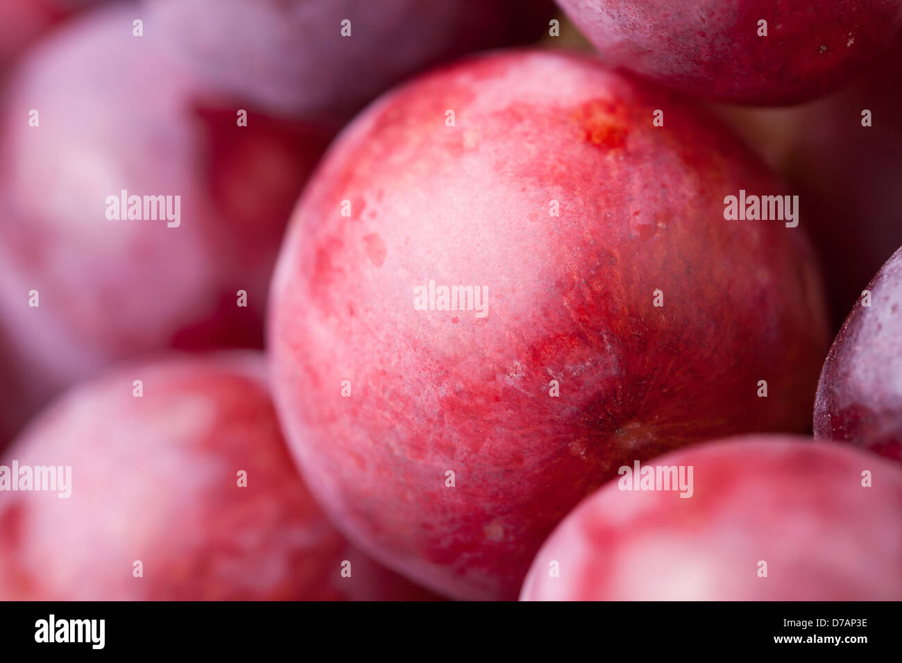red grape macro full frame Stock Photo - Alamy