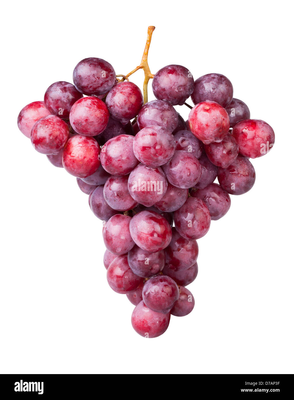 Red grape bunch hanging hi-res stock photography and images - Alamy