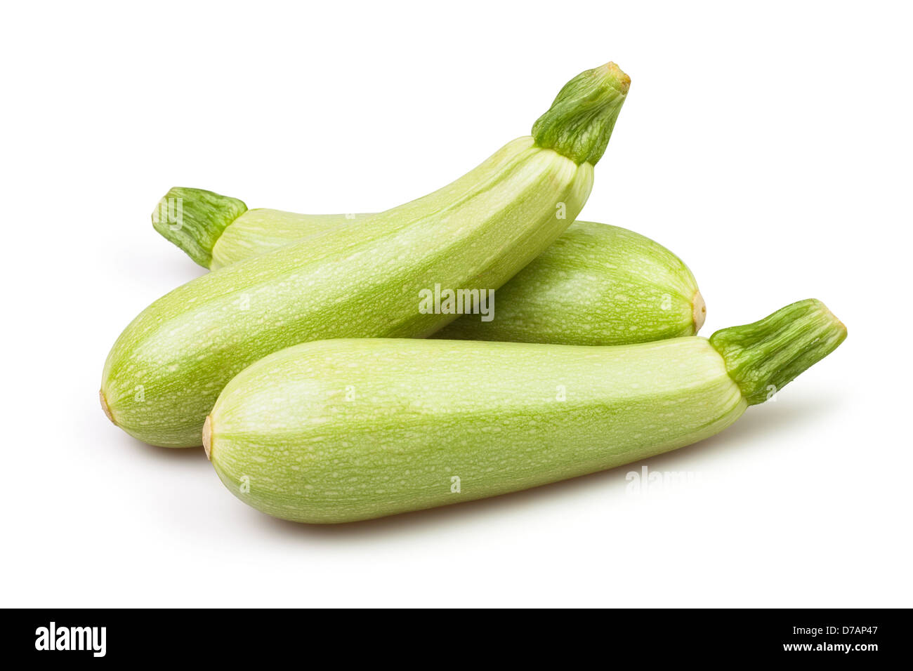 Marrow squash plant hi-res stock photography and images - Alamy