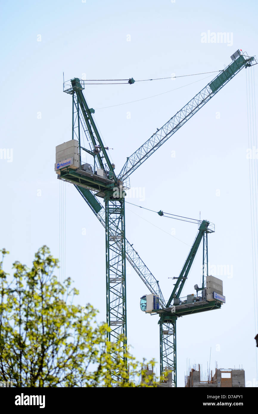 Two cranes in Cardiff City Centre with green shoots from a tree at the ...