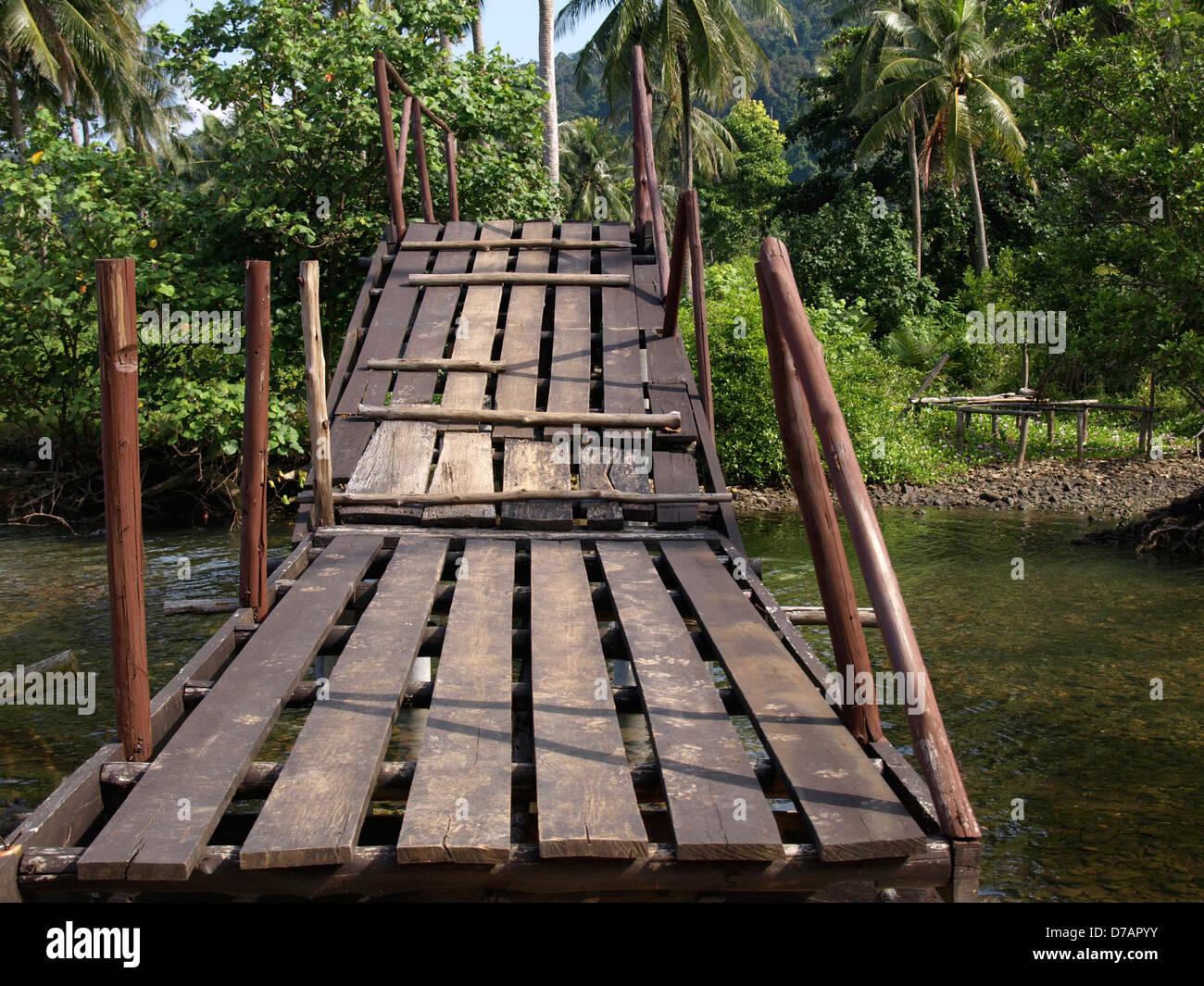foot bridge in dense jungle over a stream. Thailand Ko Chang Island ...