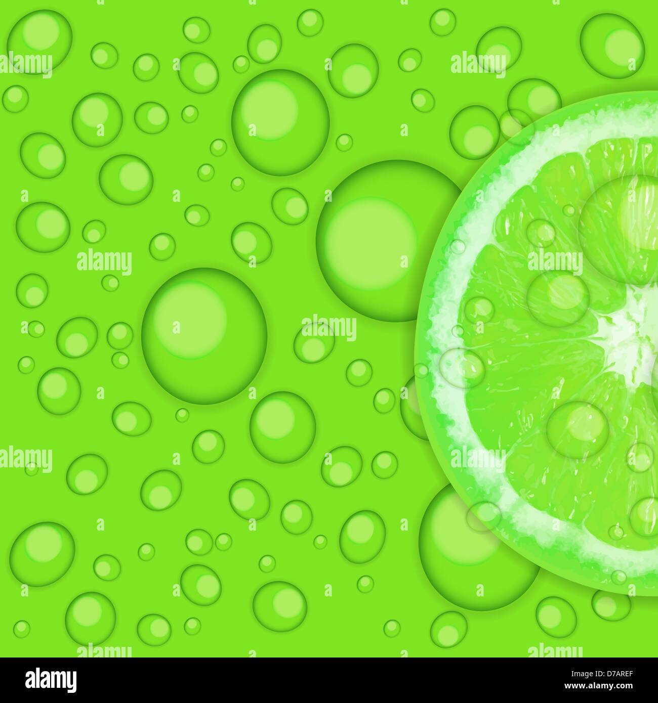 Fresh juicy lime background vector illustration Stock Photo - Alamy