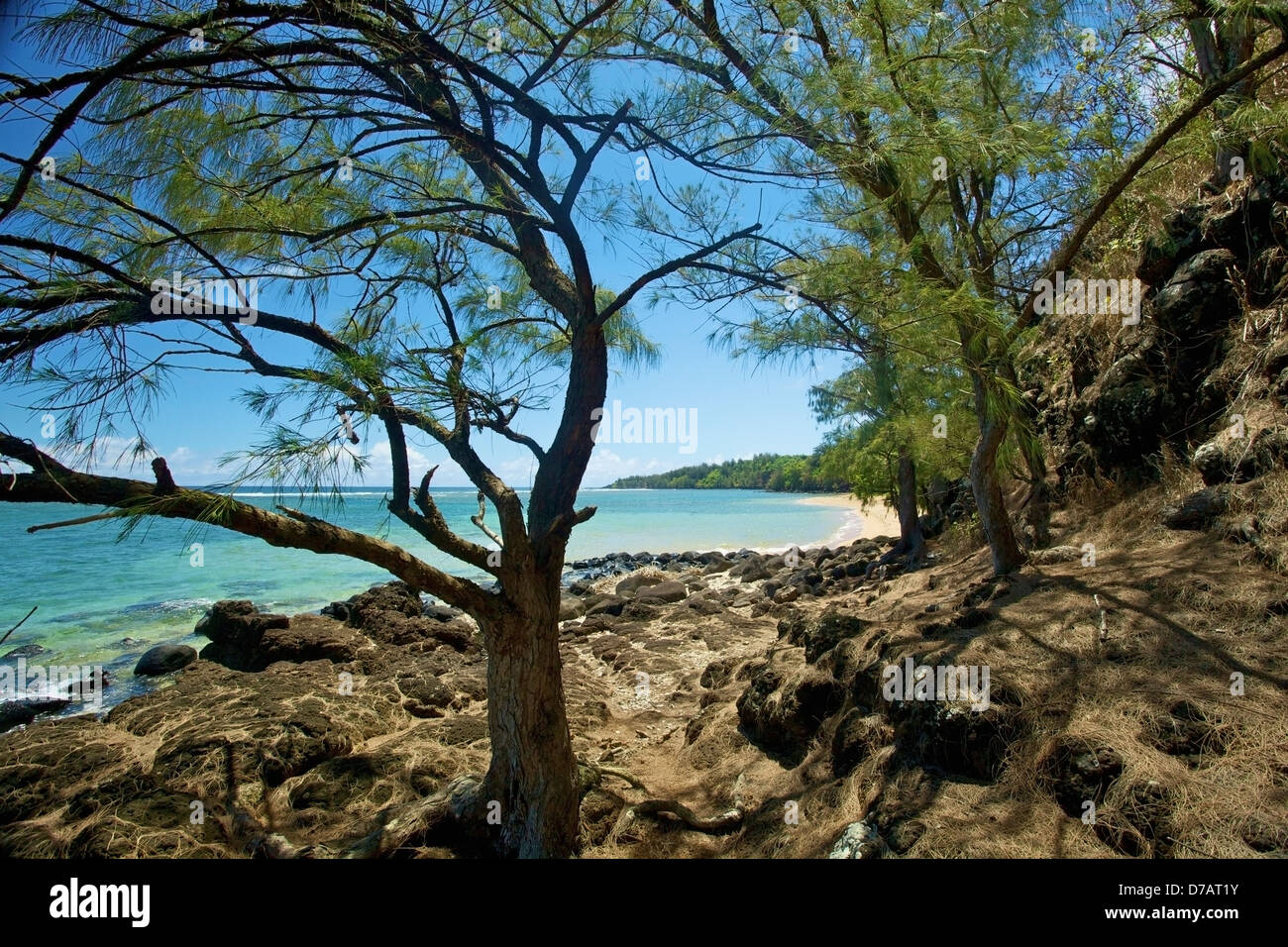 Pilaa kauai hi-res stock photography and images - Alamy