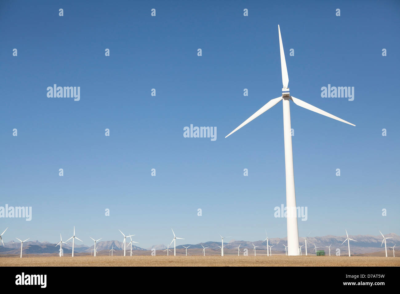 Wind Generators. Near Pincher Creek, Alberta Stock Photo - Alamy
