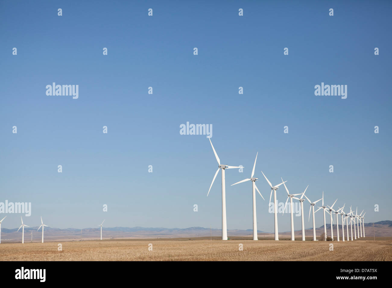 Near pincher creek alberta hi-res stock photography and images - Alamy