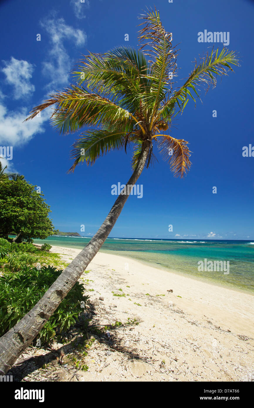 Pila’a beach kauai hi-res stock photography and images - Alamy
