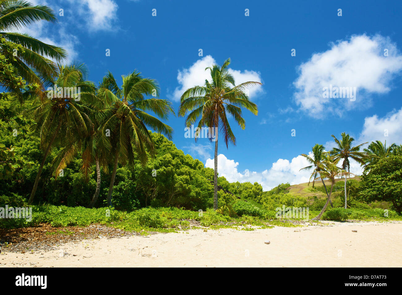 Pila’a beach kauai hi-res stock photography and images - Alamy