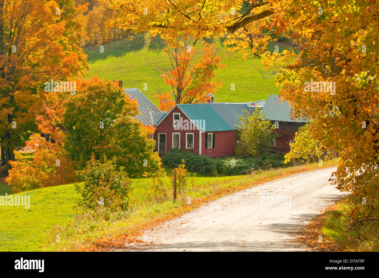 Jenne hi-res stock photography and images - Alamy