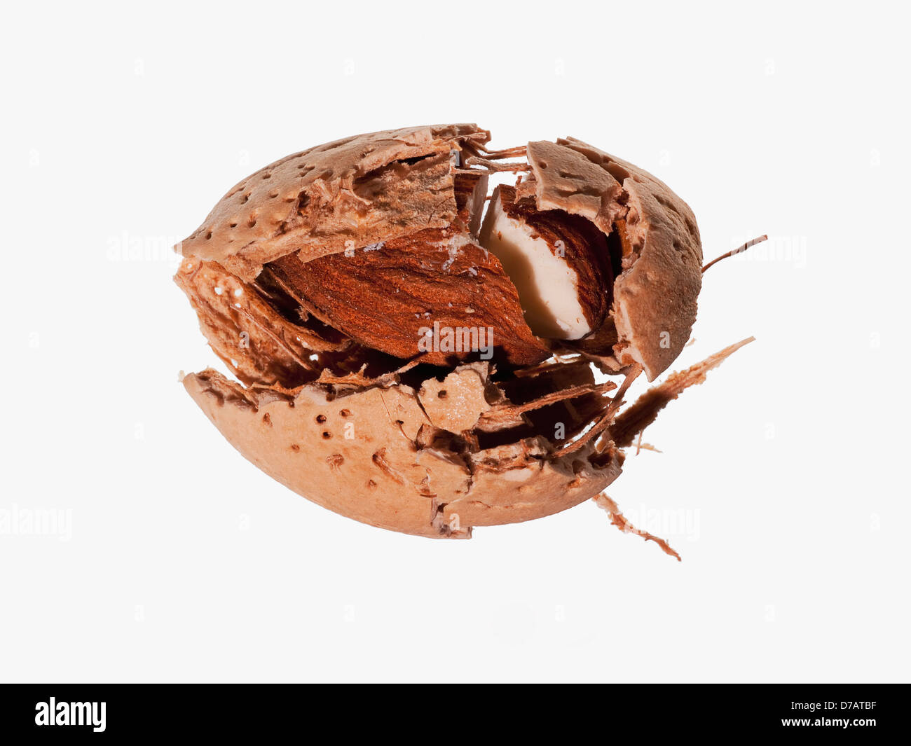 A cracked almond and shell on a white background Stock Photo - Alamy