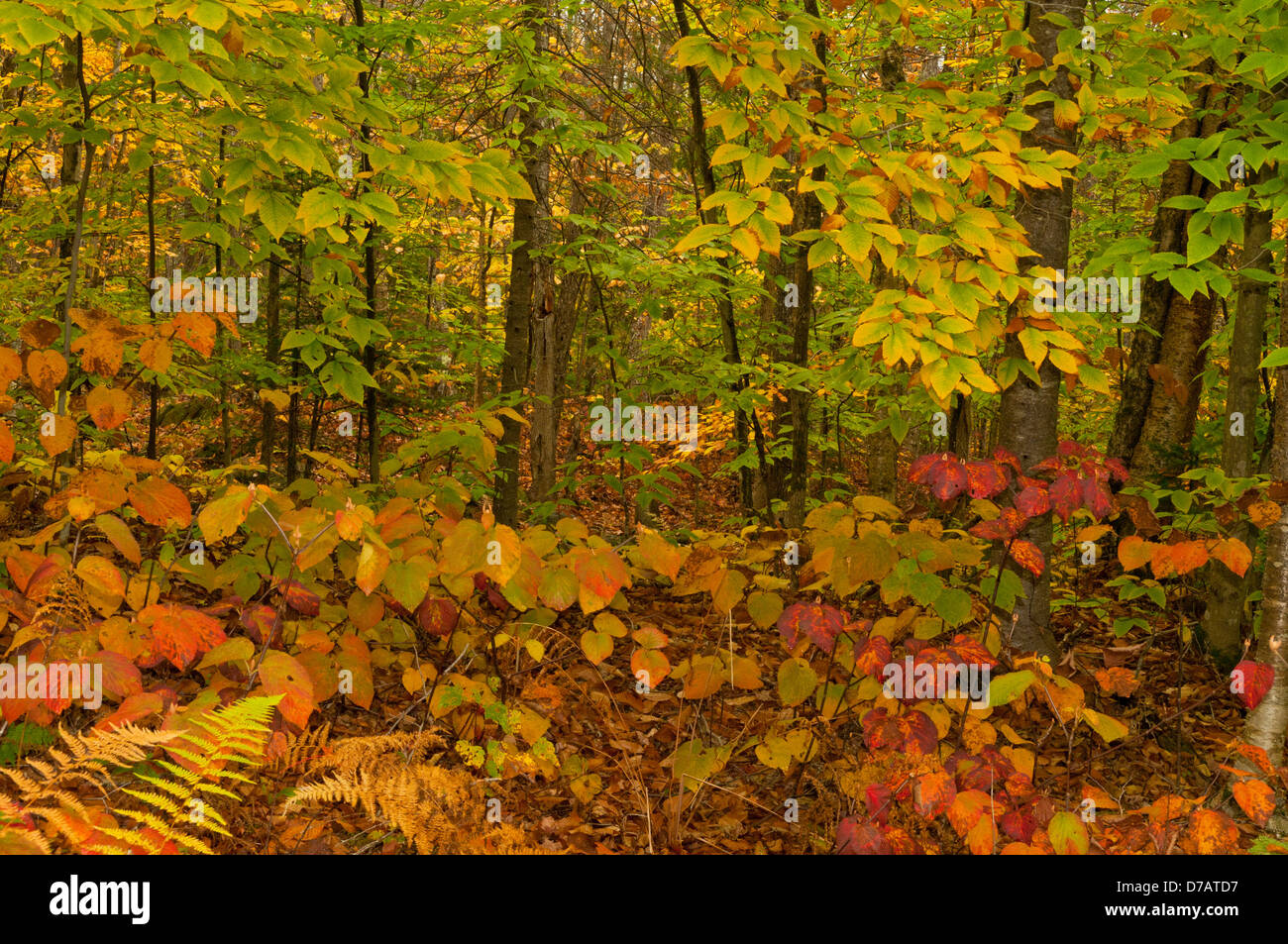 Groton vermont hi-res stock photography and images - Alamy