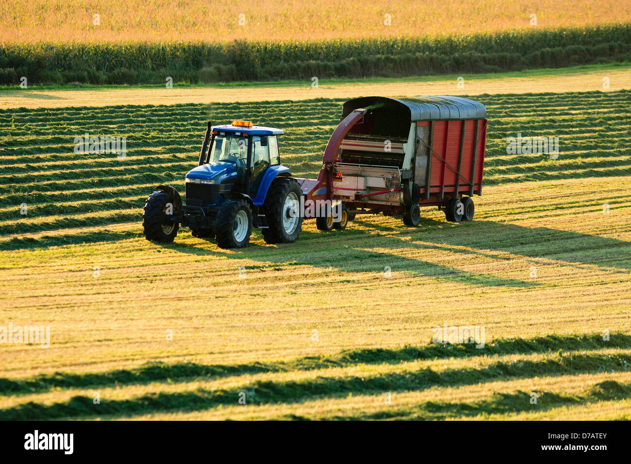 Straw cutting machines hi-res stock photography and images - Alamy