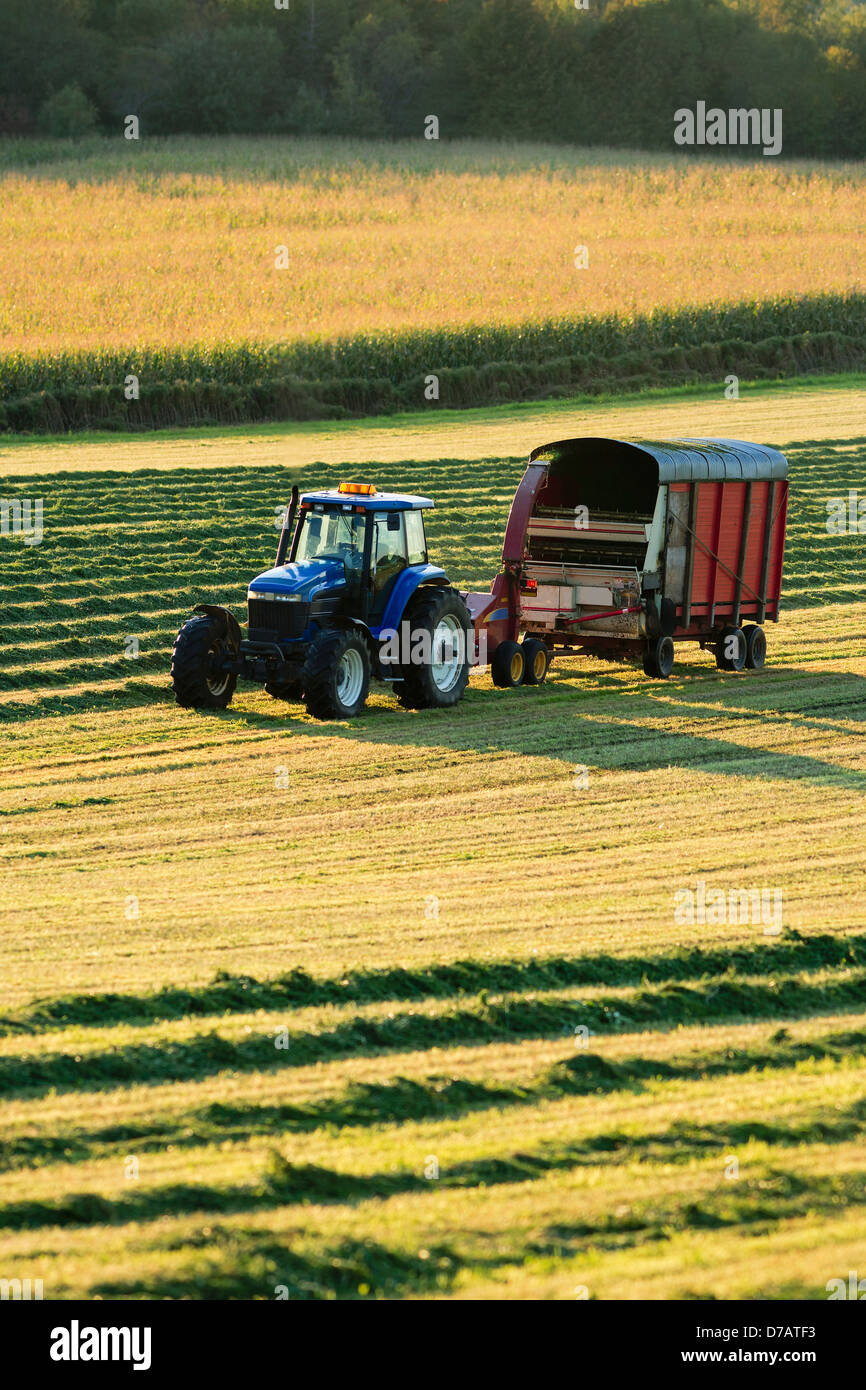 Farmer Cutting Hay In Field At Sunset; Warwick Quebec Canada Stock ...