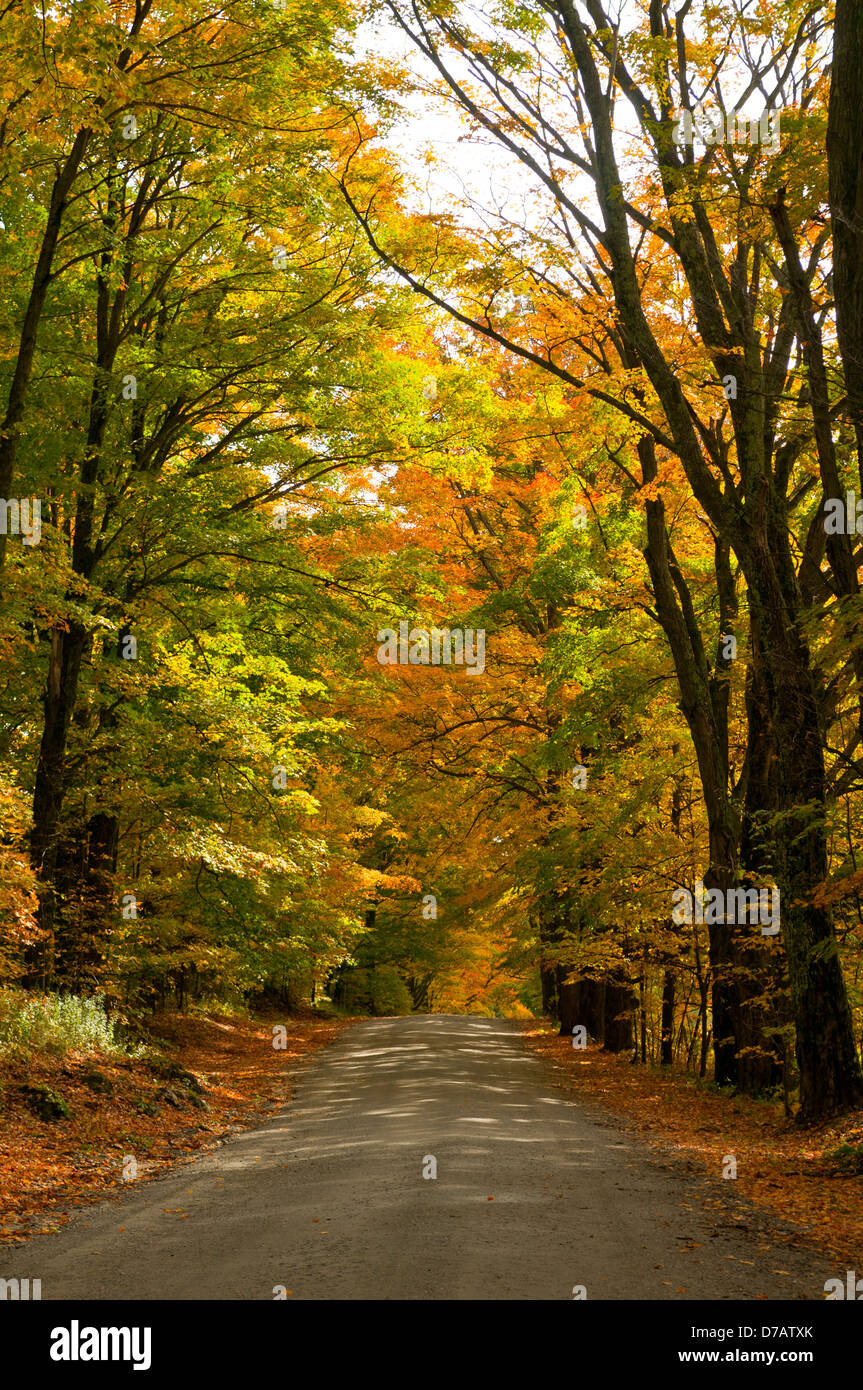 Upright foliage hi-res stock photography and images - Alamy