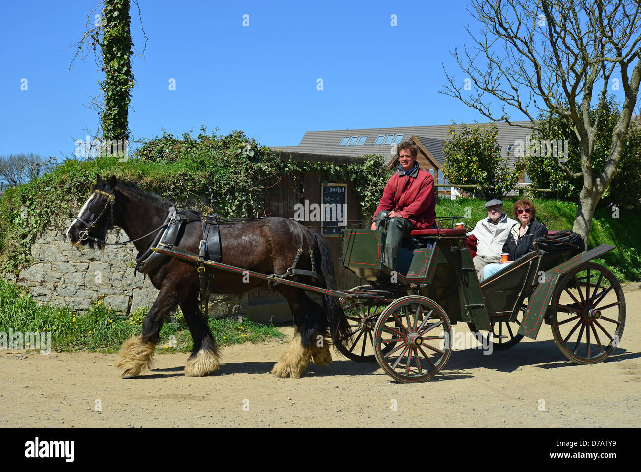 Tourists on horse-drawn carriage ride, Greater Sark, Sark, Bailiwick of ...