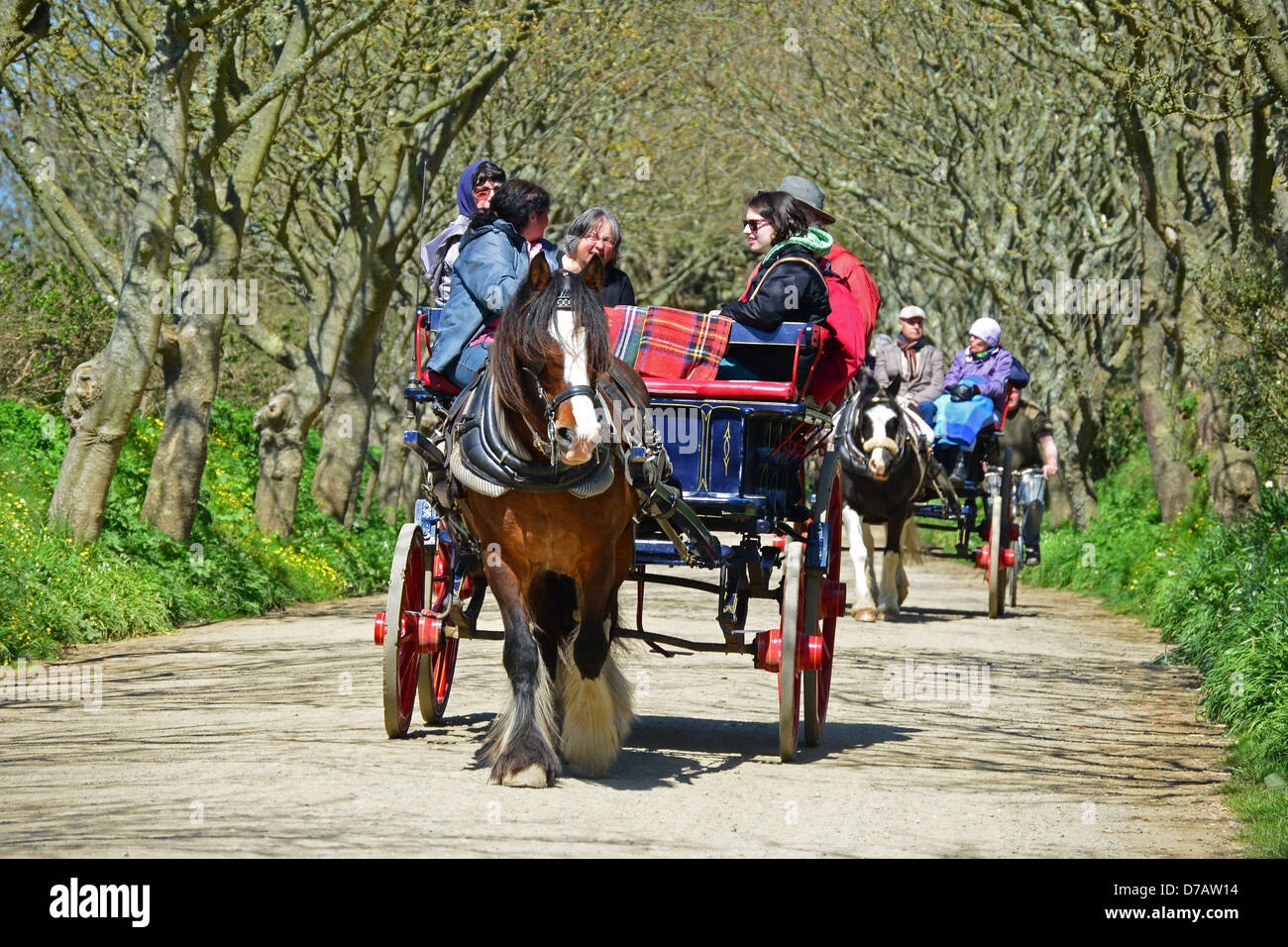 Tourists on horse-drawn carriage ride, Greater Sark, Sark, Bailiwick of ...