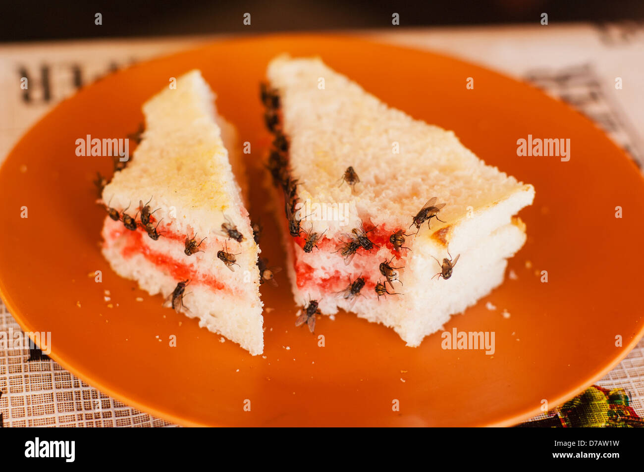 Jam Sandwich With Flies;Goa Karnataka India Stock Photo - Alamy