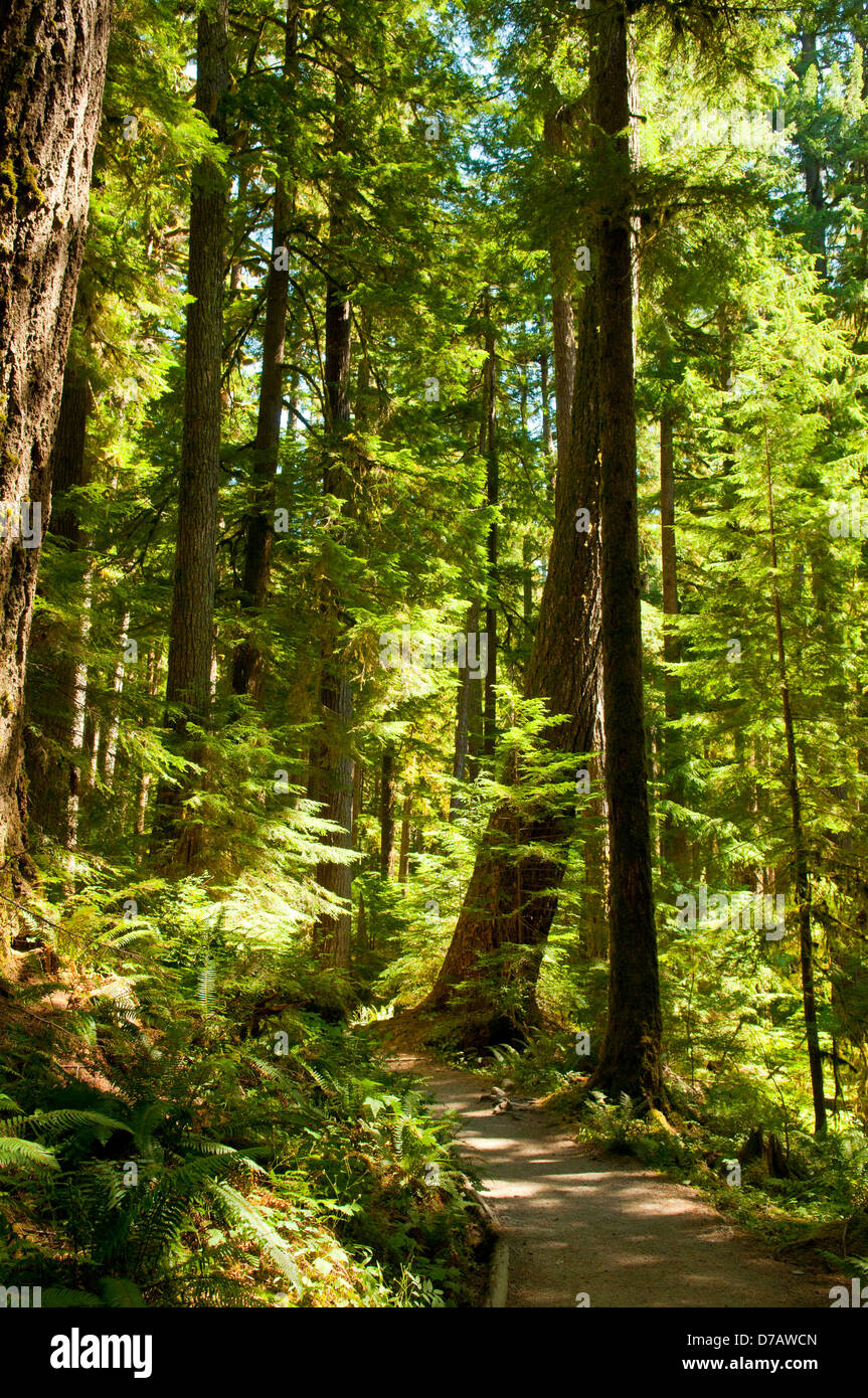 Sol duc hi-res stock photography and images - Alamy
