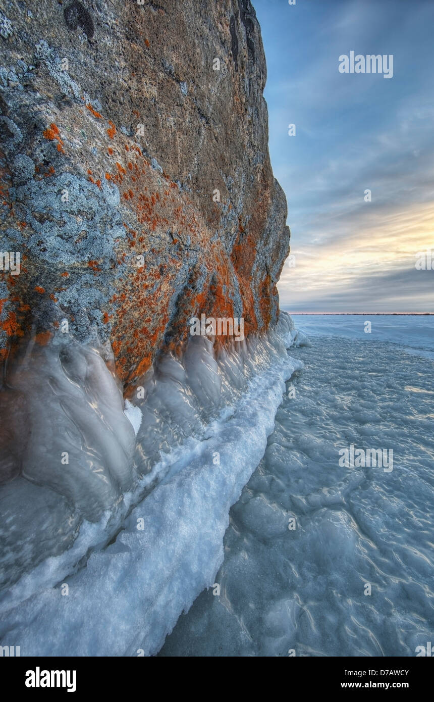 Frozen lichen hi-res stock photography and images - Alamy