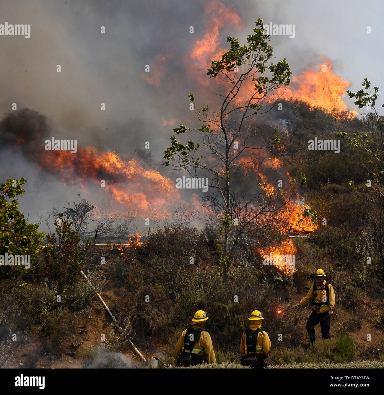 Camarillo, CA, USA. May 2, 2013. Firefighters start back fires as a ...
